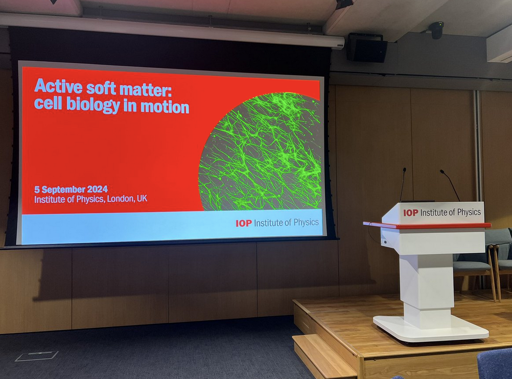 News – Contini Lab